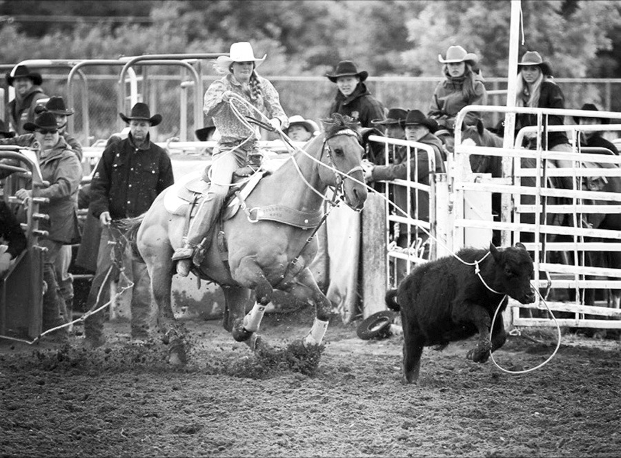 Valley's state high school rodeo champs advance to nationals ...
