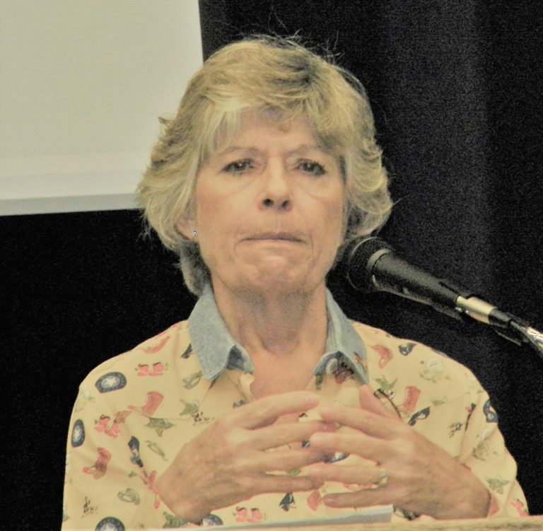 Workshop on land use planning draws a protest - Bitterroot Star