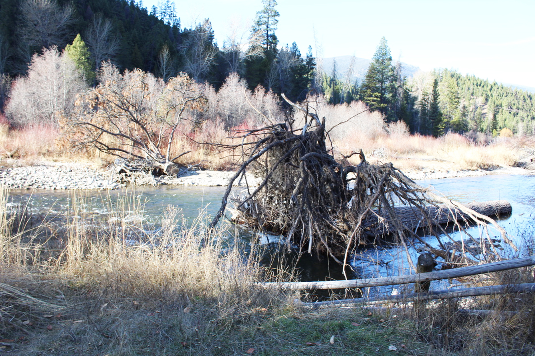 Trout Unlimited issues statement on woody debris management in the West ...