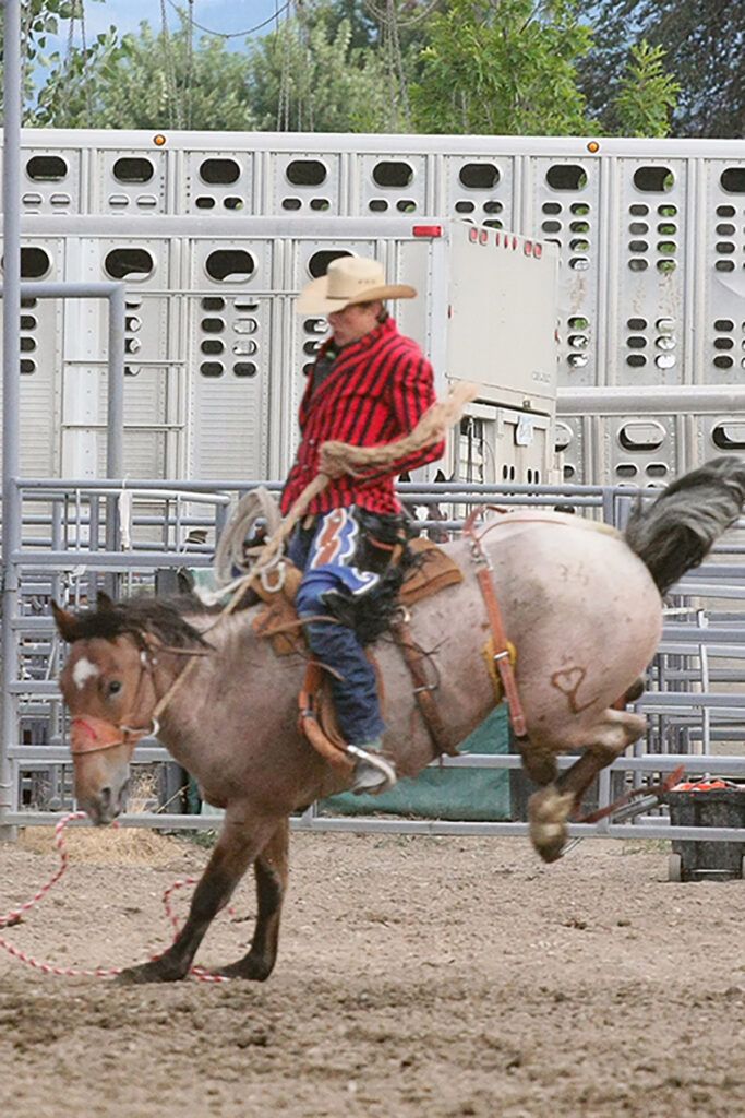'Bulls, Broncs, and Honky Tonks' this Saturday - Bitterroot Star