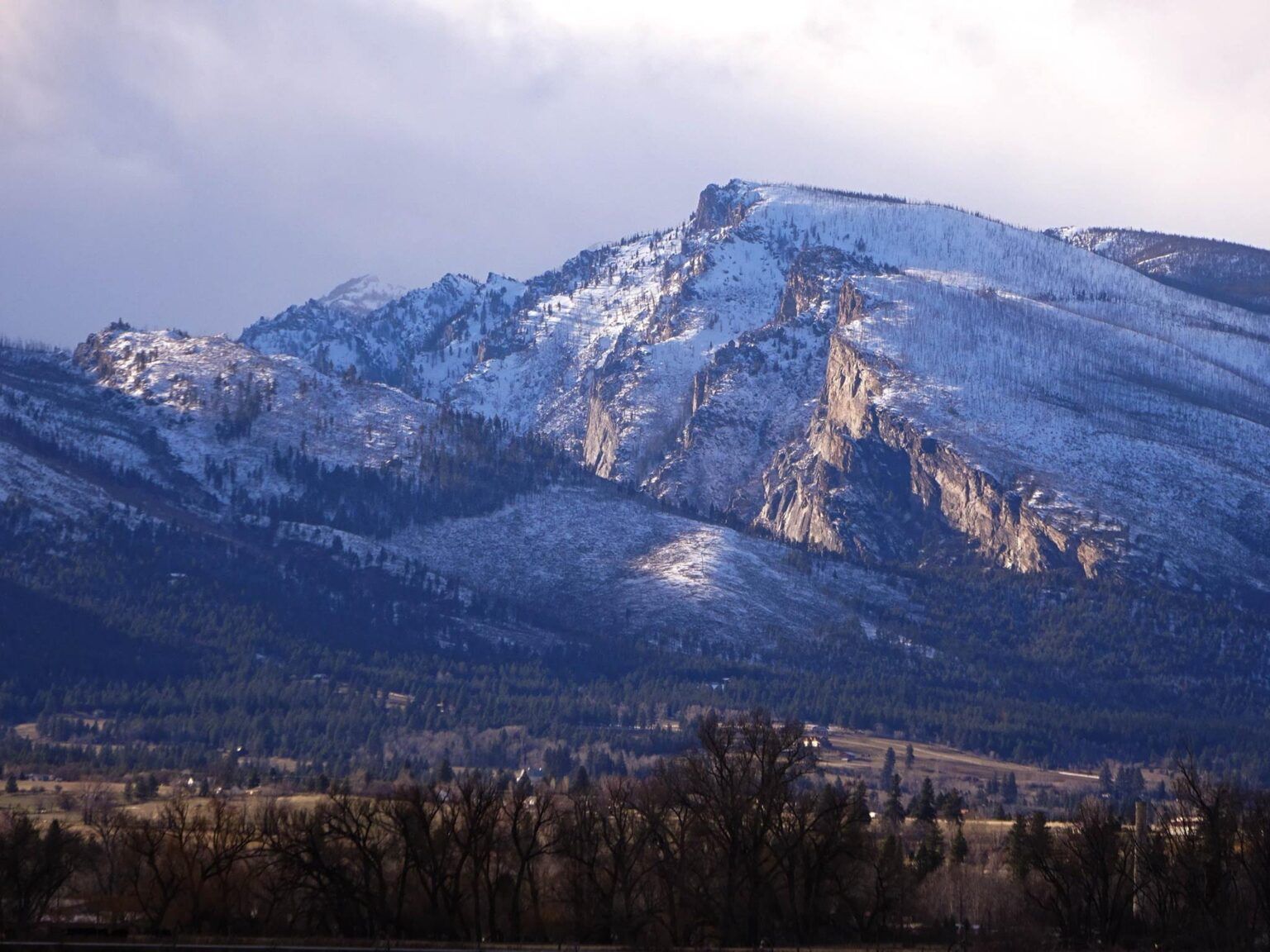 News Archives - Bitterroot Star