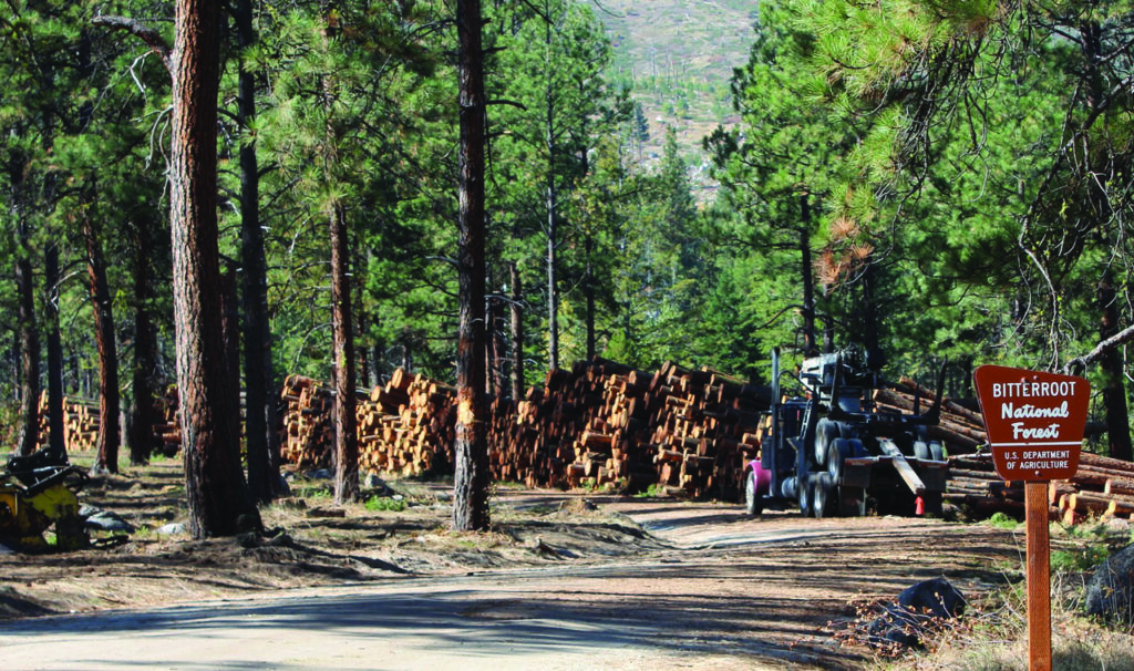 Public workshop scheduled for Mud Creek Project - Bitterroot Star