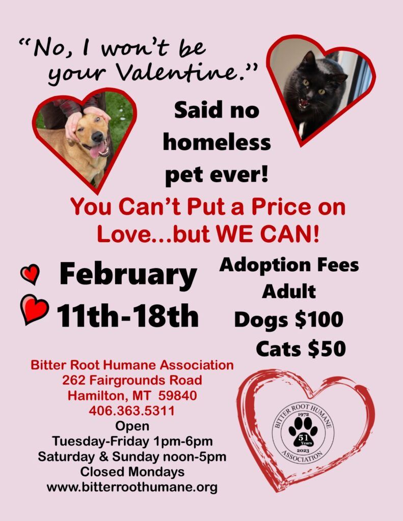 Opinion Archives - Bitterroot Star