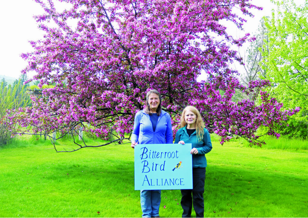 Local chapter of Audubon Society changes its name - Bitterroot Star