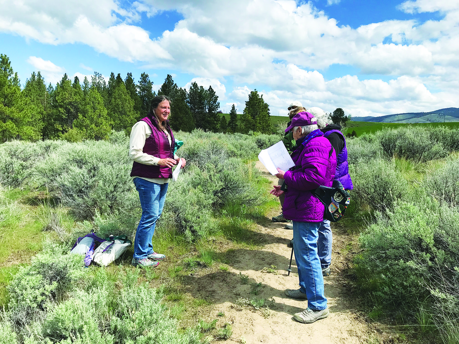 Forest announces wildflower walks - Bitterroot Star