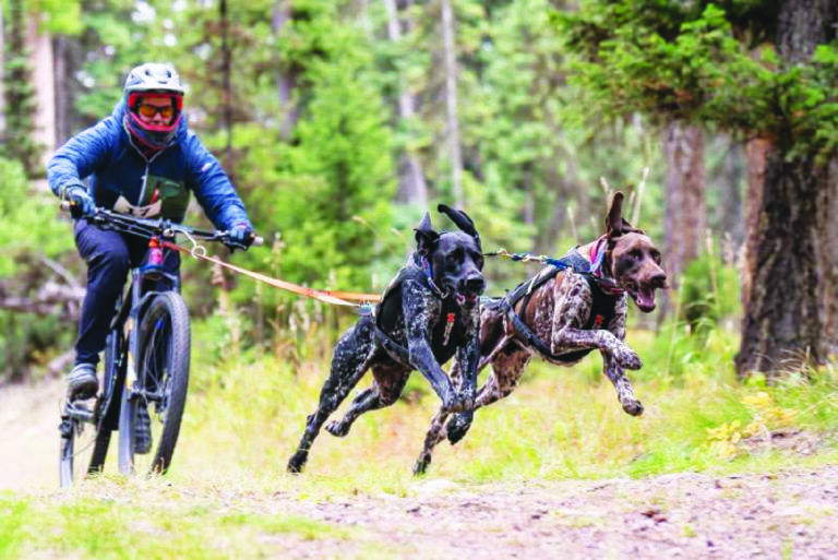 Sports Archives - Bitterroot Star