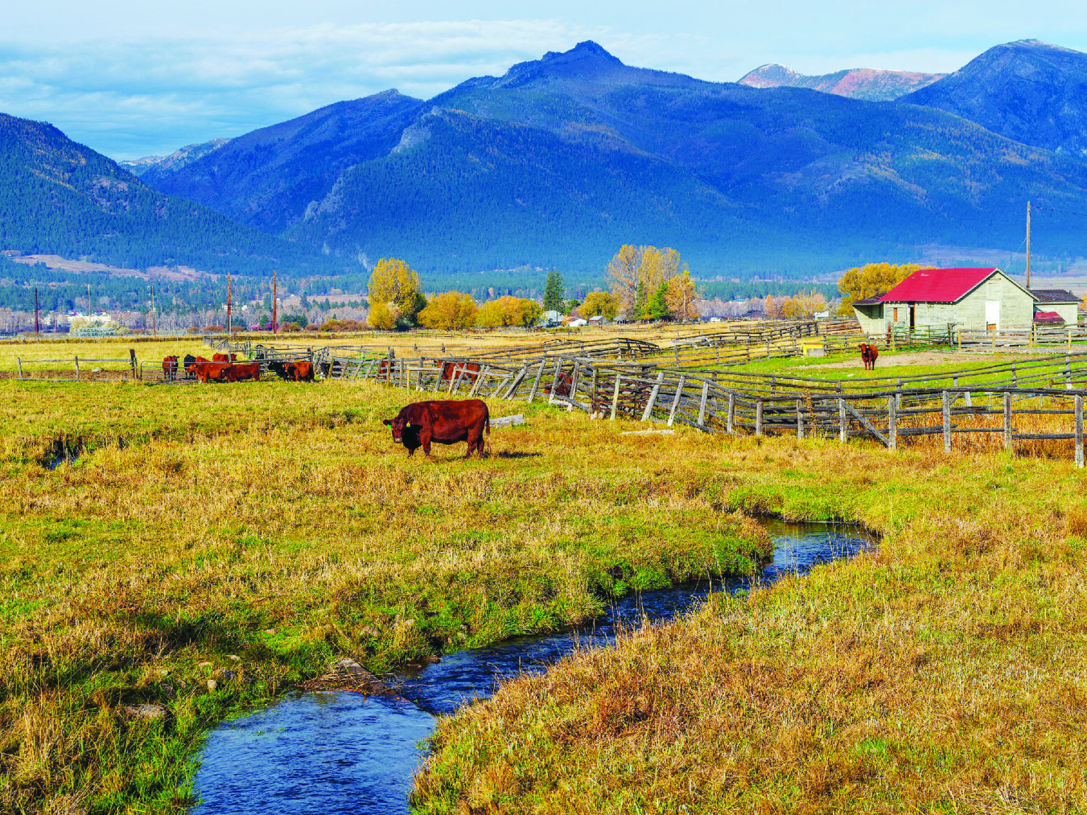 Ellison Ranch conservation easement adds protection to Burnt Fork area ...