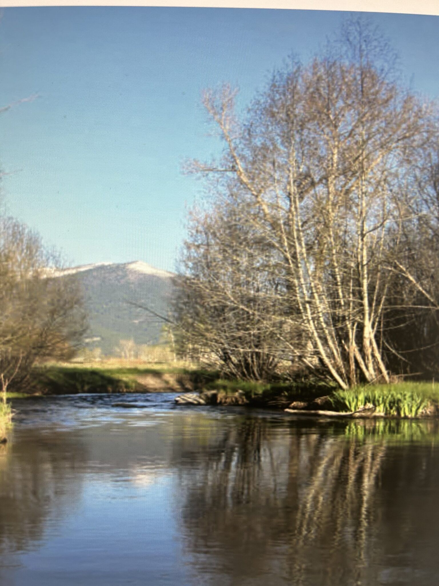 Landowners seek to install floating islands, fences on Mitchell Slough ...