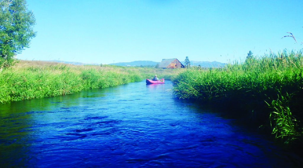 News Archives - Bitterroot Star