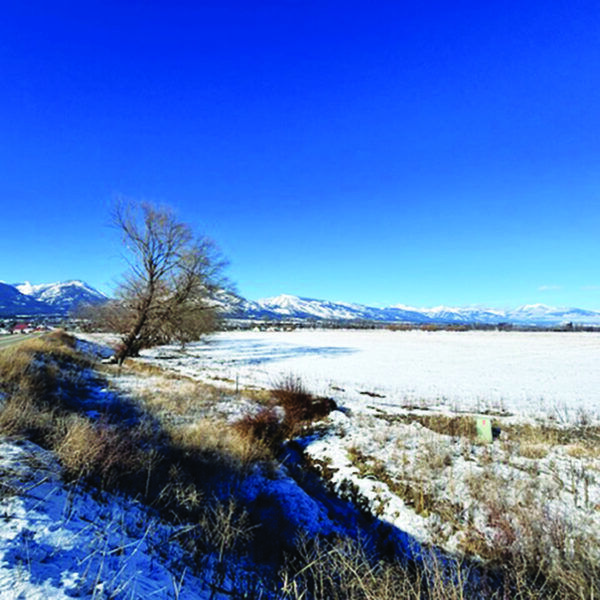 Bitterroot Star - Bitterroot Valley's best source for local news!