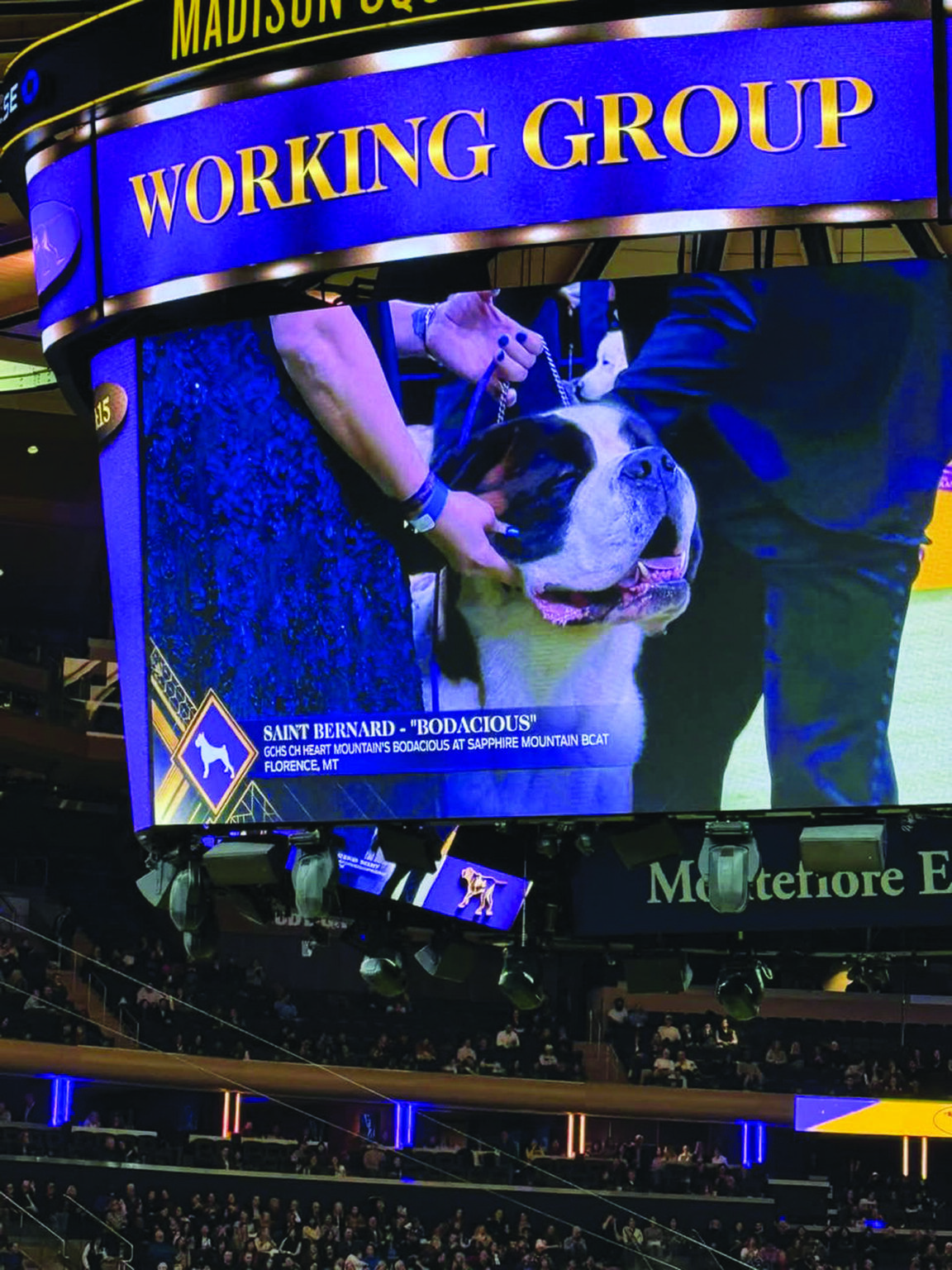 Florence dog wins big at Westminster show - Bitterroot Star