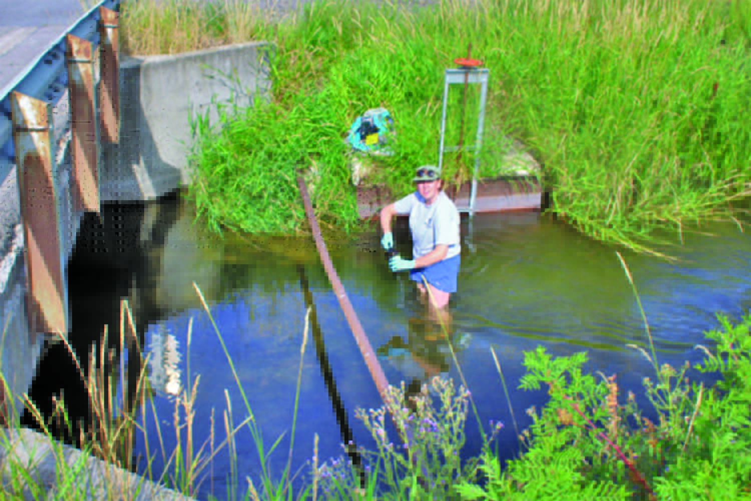 Bitterroot Star - Preston Media Database - Intelligent Relations