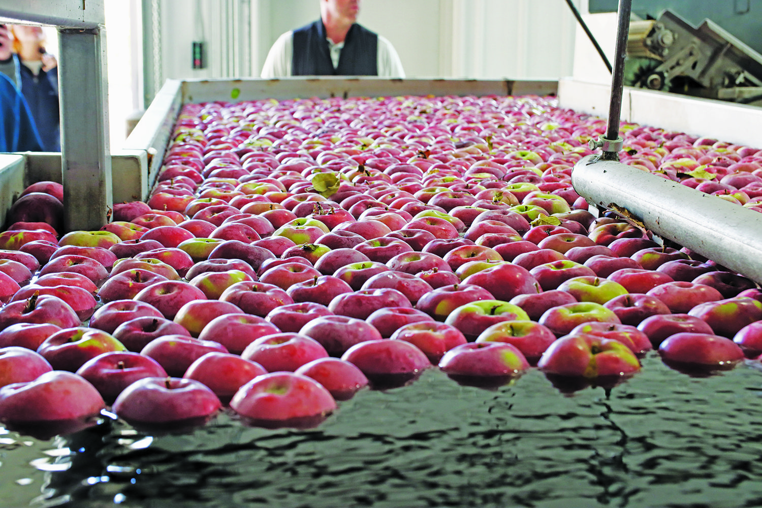 Local orchard aims to connect with school food programs - Bitterroot Star