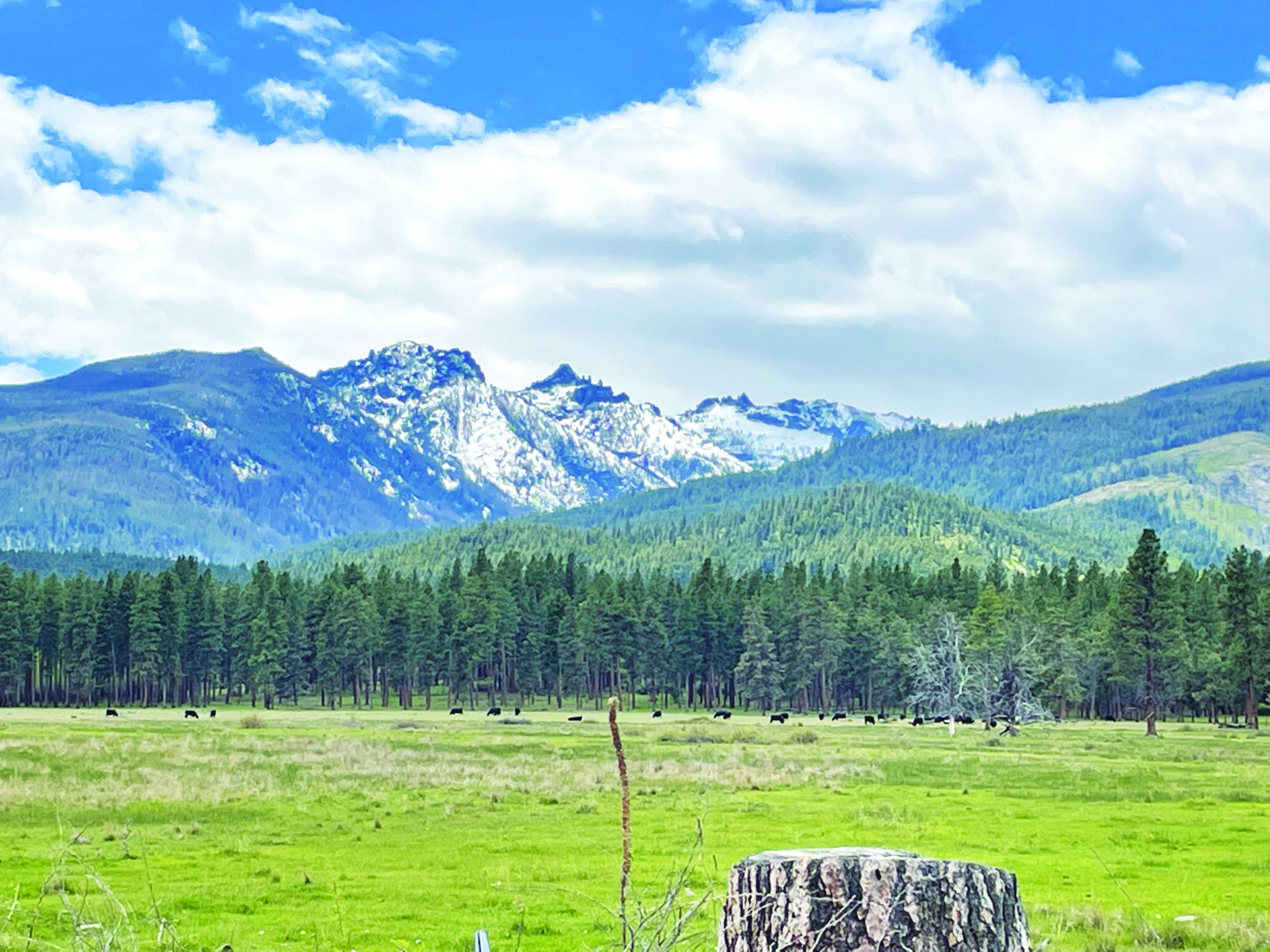 More Groff family acreage protected near Victor - Bitterroot Star
